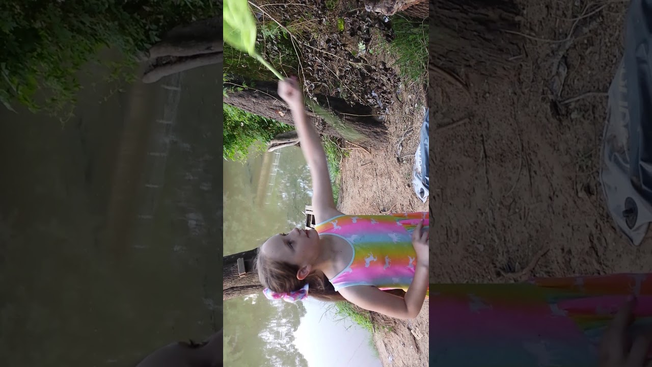 Massive Python attacks family - YouTube