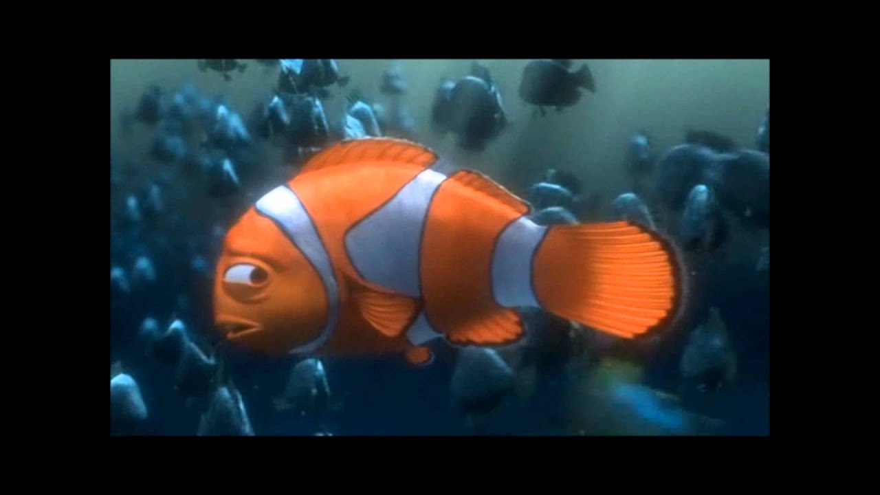YouTube Poop - Marlin Hates Nemo - YouTube