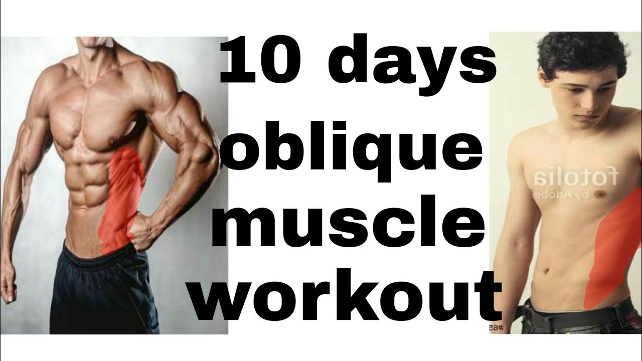 oblique muscle exercise / love handle muscle .best exercise by fitness ...