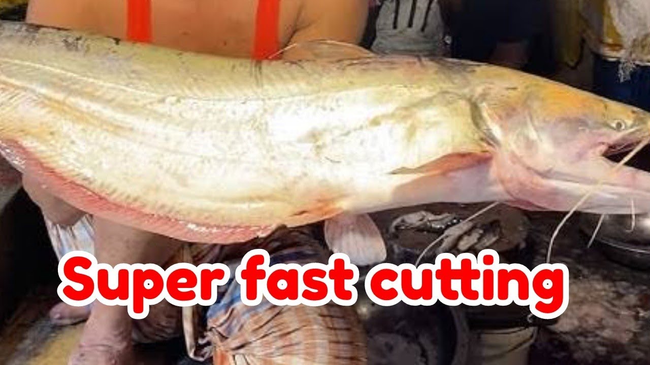 Chinese style big Boal fish cutting || Boal fish cutting || Joy cutting ...