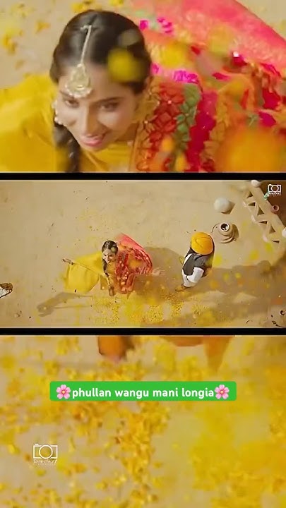 🌸Phullan Wangran🌸 Mani Longia - YouTube