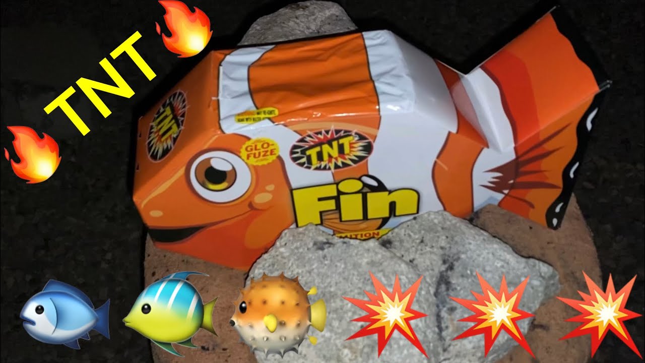 FIN BY TNT FIREWORKS 💥 NEW FOR 2021!!! - YouTube