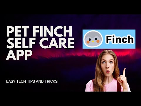 How to Pet Your Virtual Companion on Finch Self Care App - Quick Guide ...