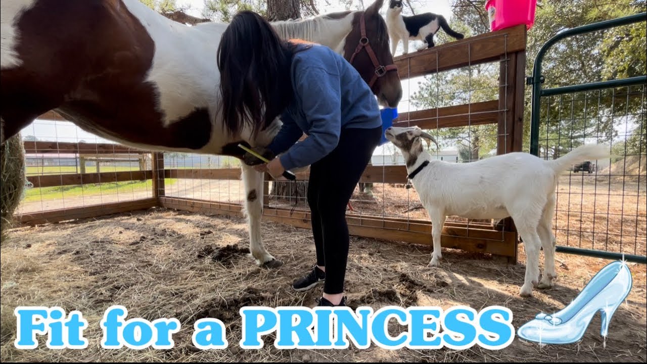 The princess is getting slippers! - YouTube