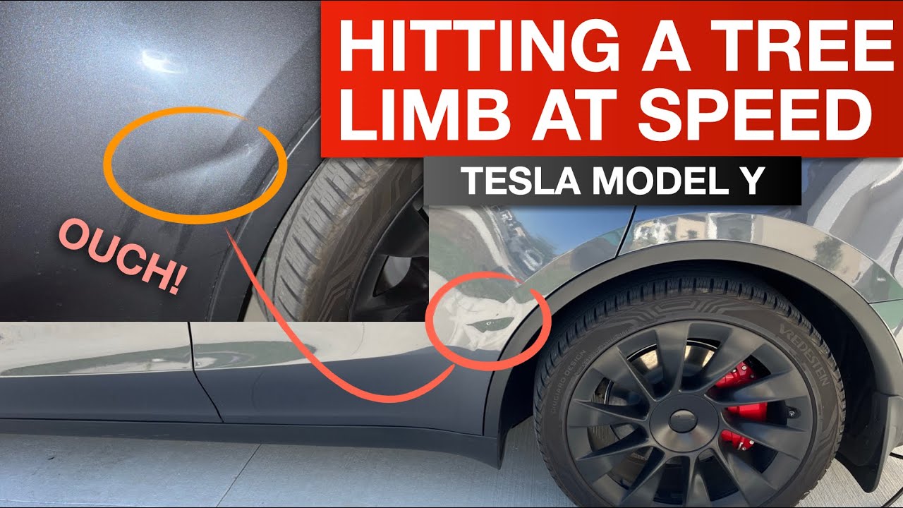 Tesla Model Y - Accident Involving a Tree Limb at 60 MPH - YouTube