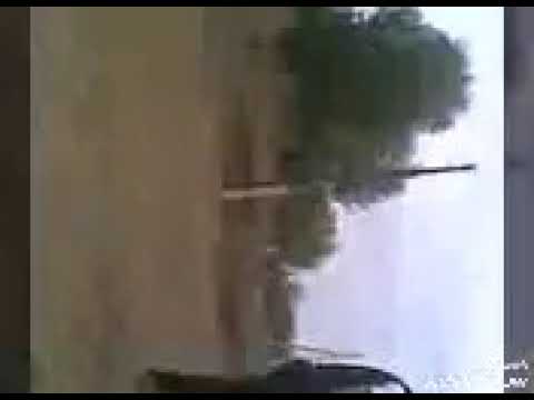 Beyləqan Rayonu əhmədli kəndi Aqil Hüseynov şəhid canım qardaşım