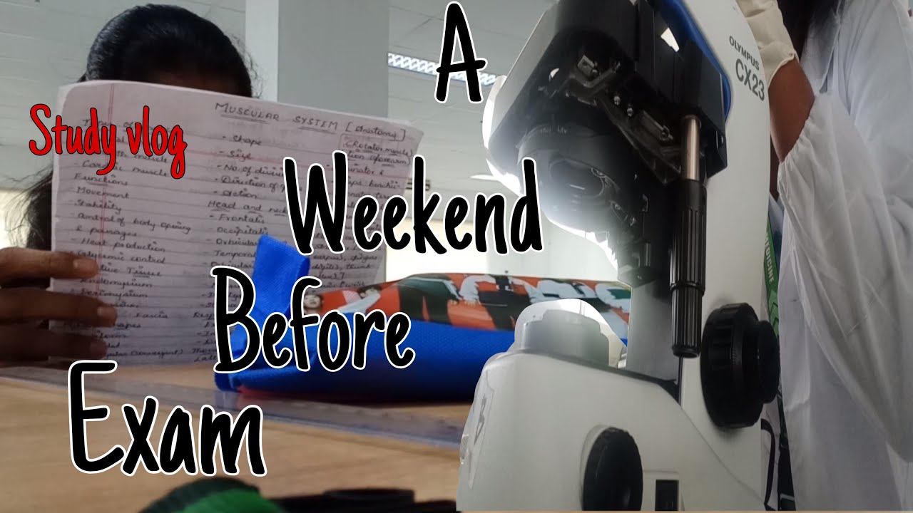College vlog: weekend before exam,lab,study,assignment#vlog #study ...