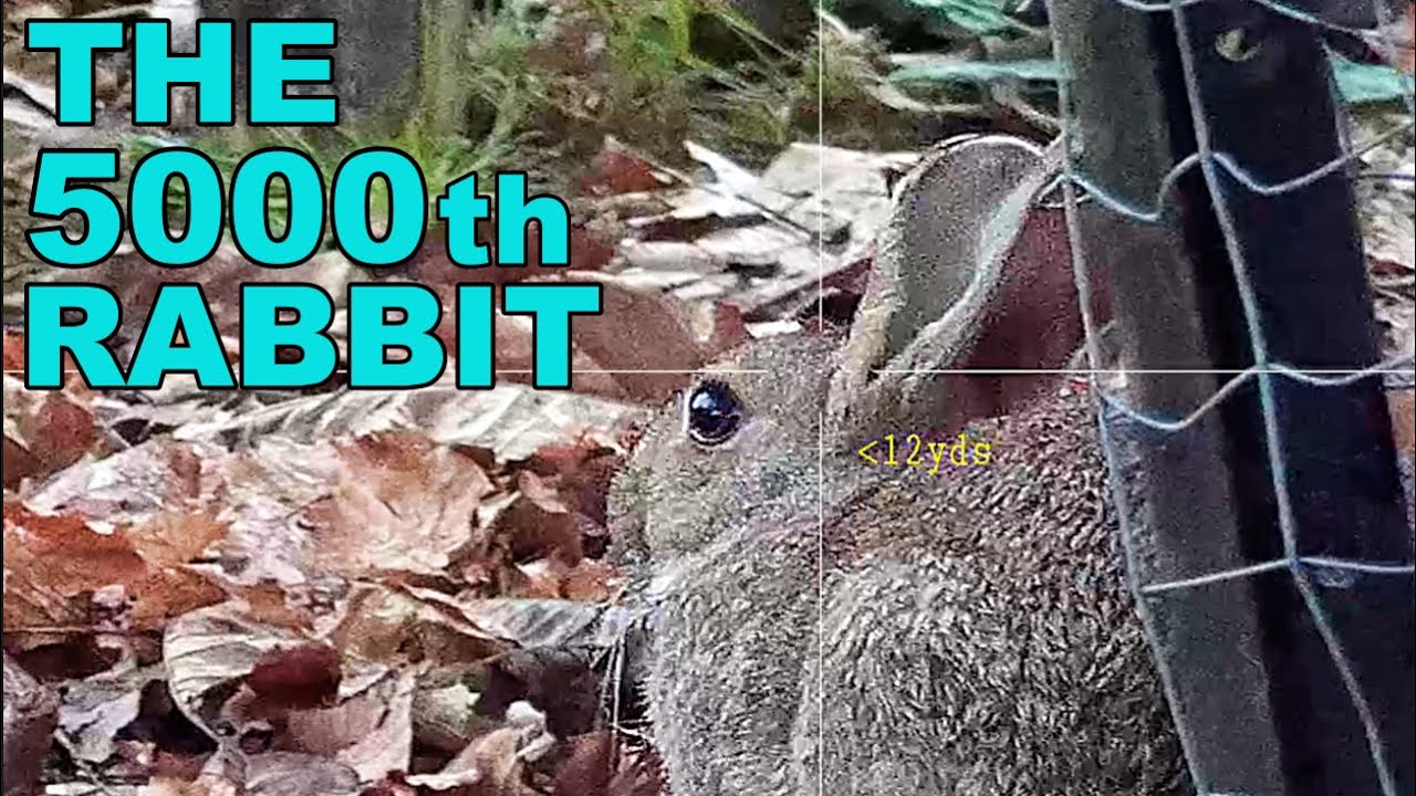 Pest Control No 76 The 5000th rabbit - YouTube