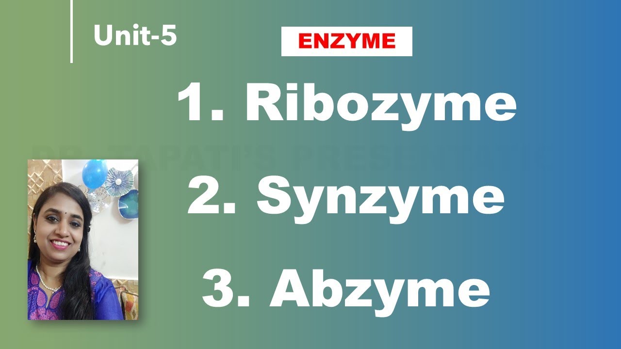 Ribozyme || Synzyme || Abzyme || Enzyme Unit-5 - YouTube