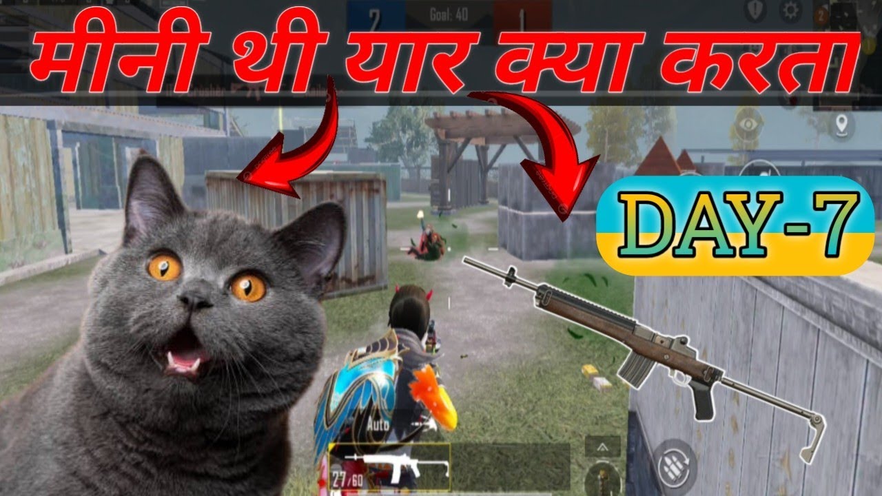 DAY-7 Cat TDM gameplay / Kalveergaming #bgmi #challenge #tdm #viral ...