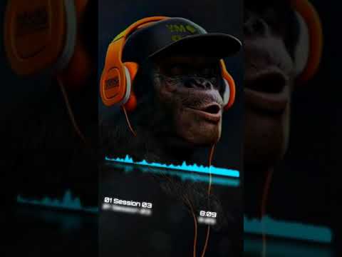 Best House Mix 2020 💣|Best of EDM|Club Dance Music 2020|Quarantine mix 2020|Session 03 -Beat Monkkey