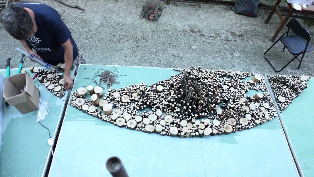 Varol Topaç / Turkey 2015 - YouTube