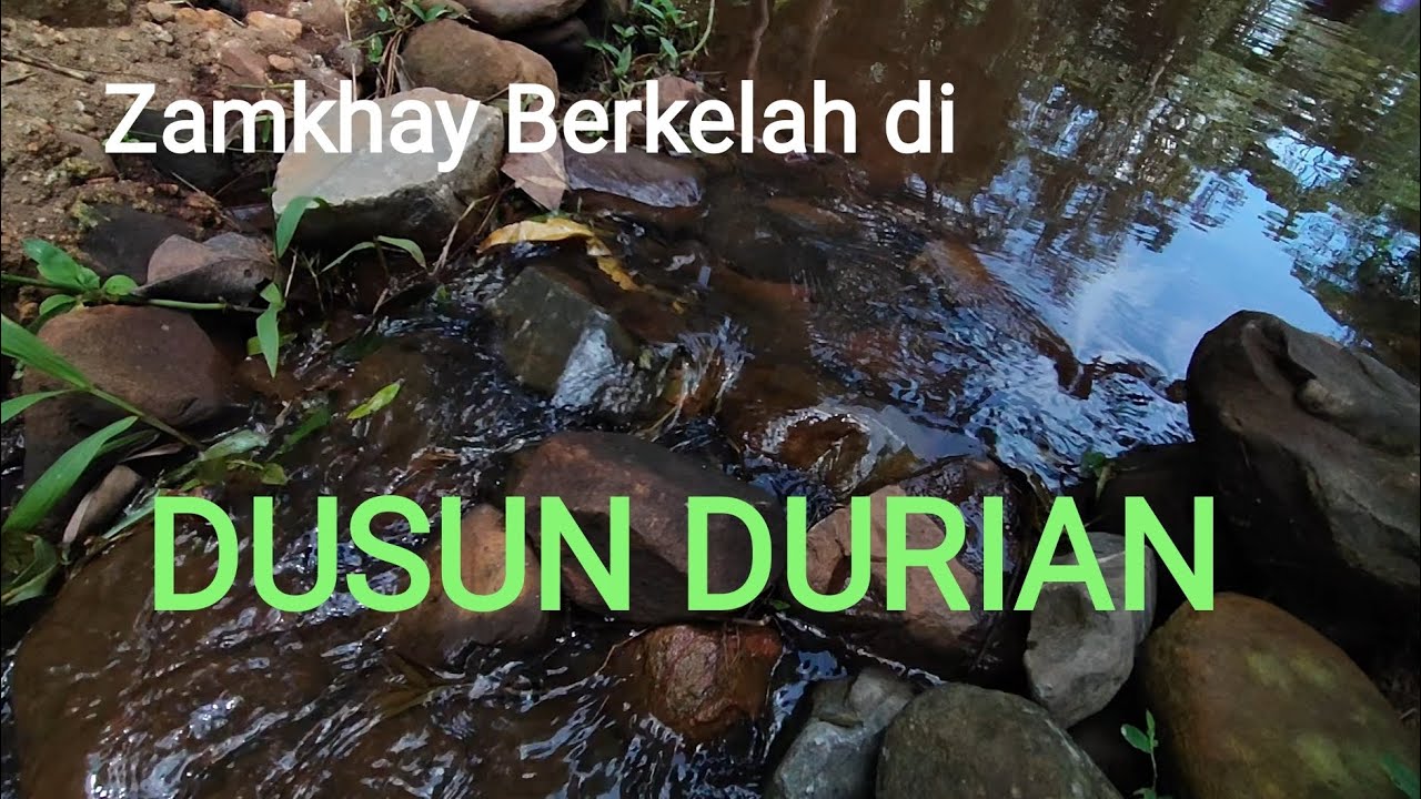 Berkelah di DUSUN DURIAN - YouTube
