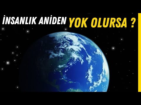 İnsanlık Kaybolursa: Dünya ve Ekosistem Nasıl Değişir?
