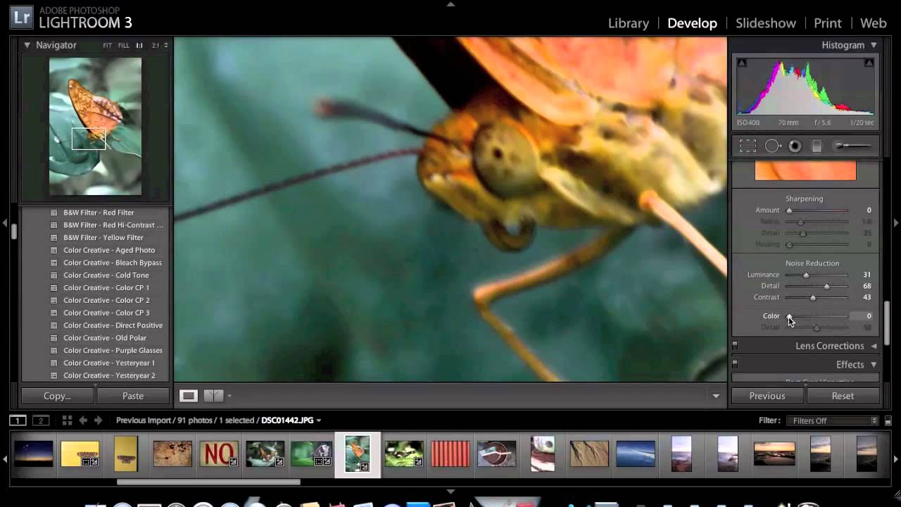 Lightroom Tutorial #1: Basic Functions - YouTube