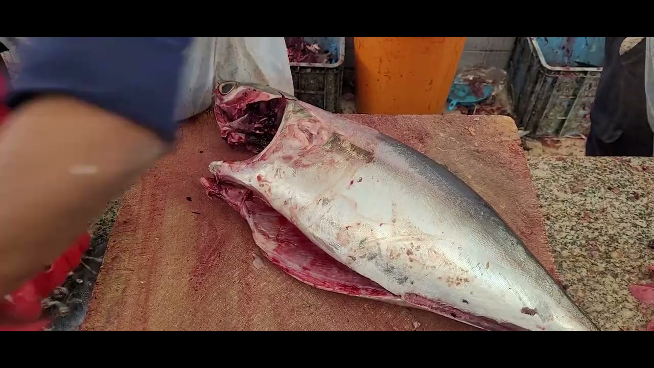 Large Bluefin Tuna 20 LBS/$150 Fish Fillet by Small Knife।Difficult to Fillet Giant Tuna by ...