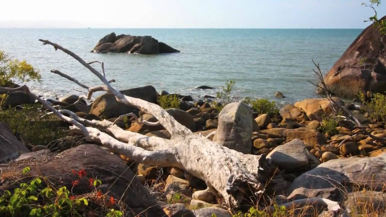 Reef Cove, Second Beach - YouTube