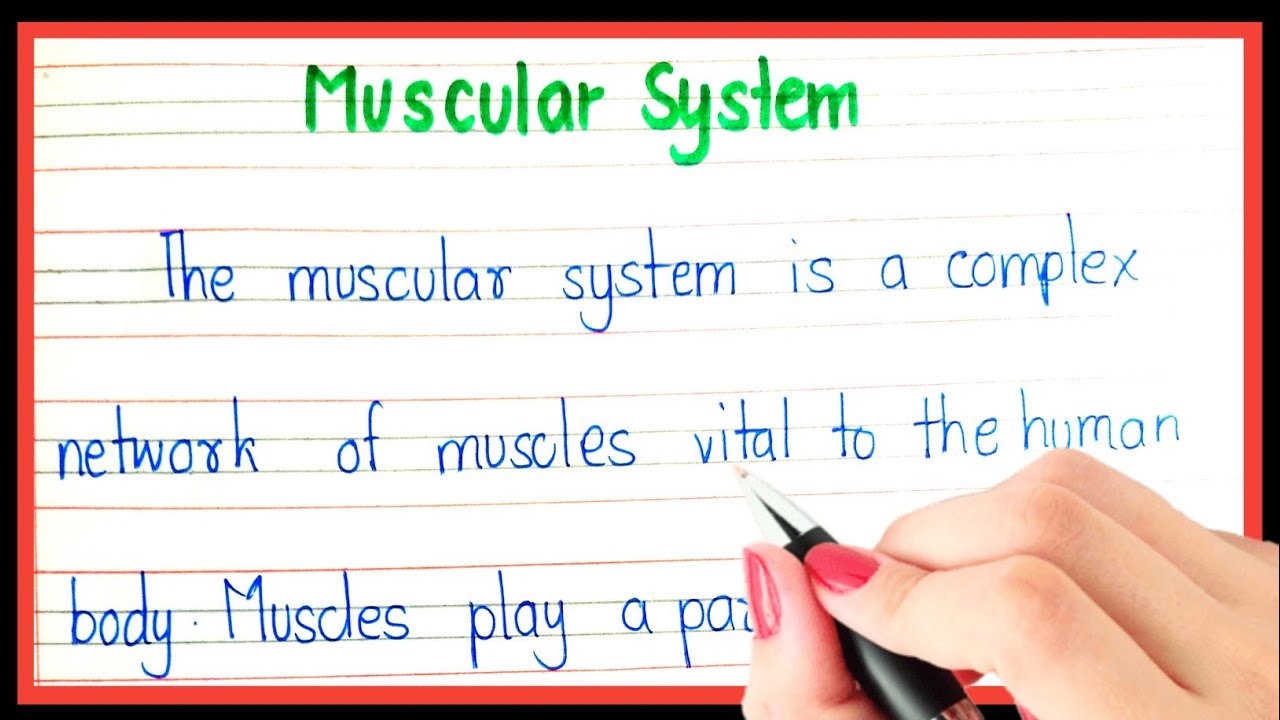 What is muscular system | Definition of muscular system - YouTube