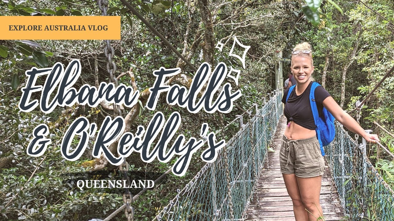 Hiking Elabana Falls, O-Reilly’s Rainforest Retreat Bird Feeding ...