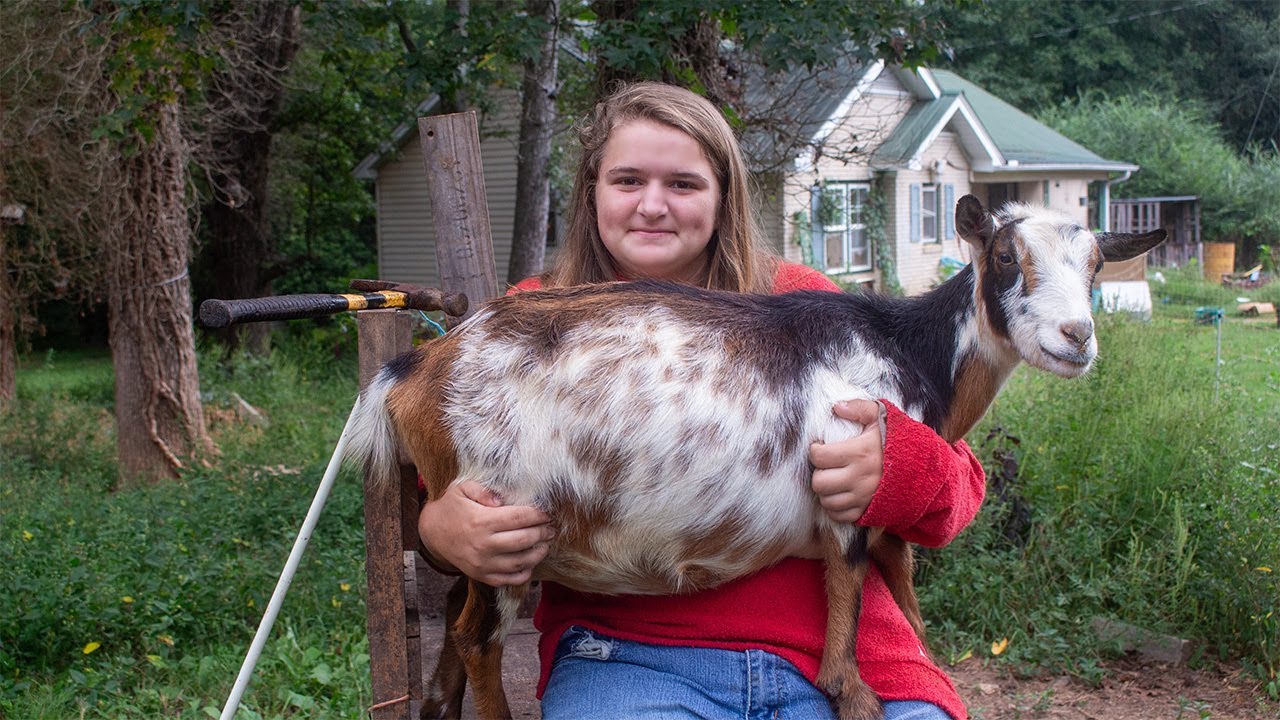 Other Ways to Weigh a Goat (and a Mani/Pedi)! - YouTube