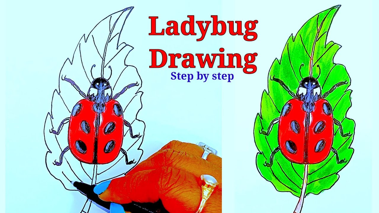 Ladybug drawing on a leaf/Ladybug drawing easy for kids/How to draw ...