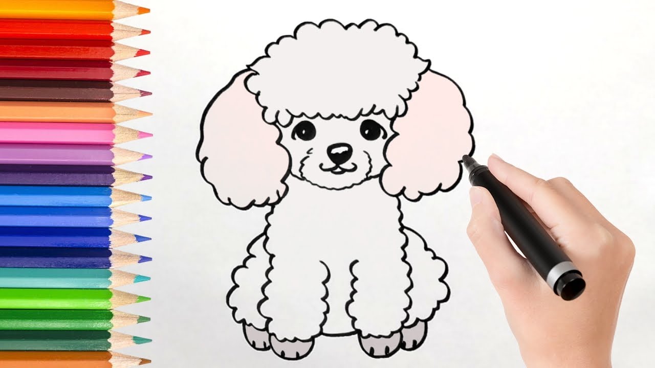 How to draw poodle - YouTube