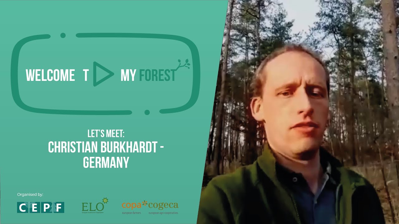 #WelcomeToMyForest - Meet Christian Burkhardt in his forest in Germany ...