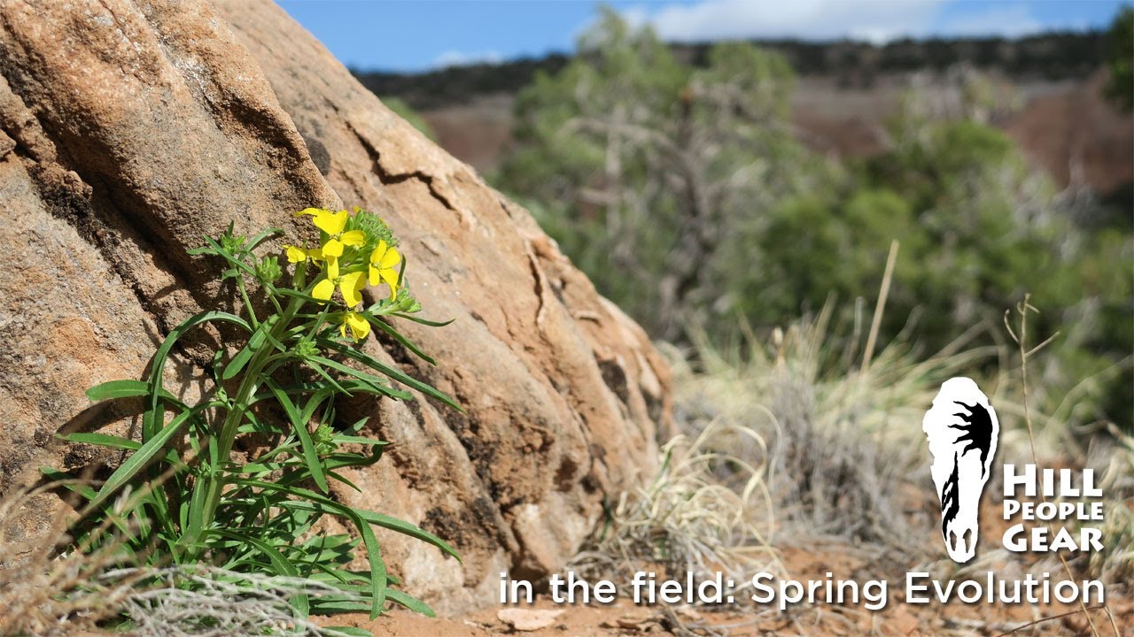 in the field: Spring Evolution - YouTube