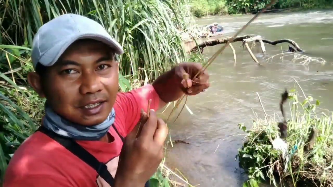 Mencoba mancing tradisional dan hasil nya?....... - YouTube