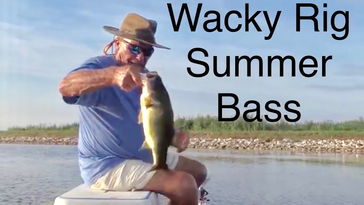 Wacky Rig for Hot Summertime Bass - YouTube