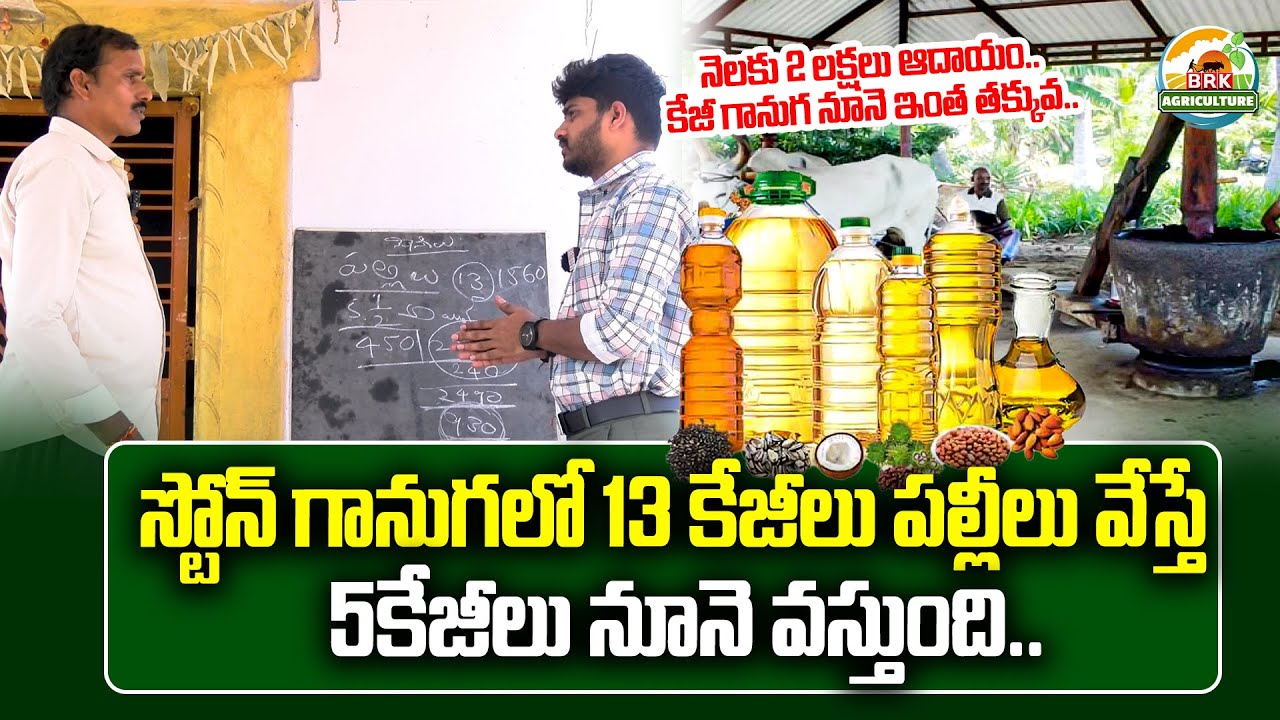కేజీ గానుగ నూనె ఇంత తక్కువ..| Stone Ganuga Oil Rate | | Yeddu Ganuga ...