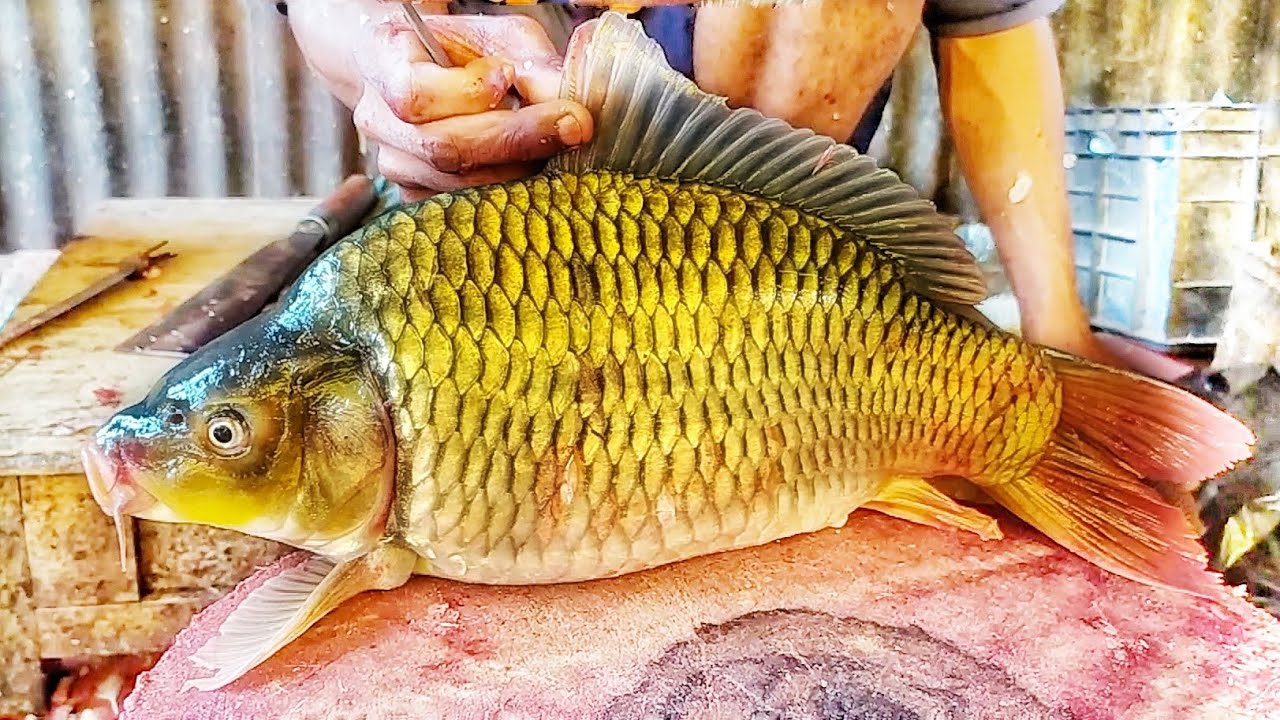 Incredible Carp Fish Cutting Techniques | Exquisite Skills Unleashed in ...