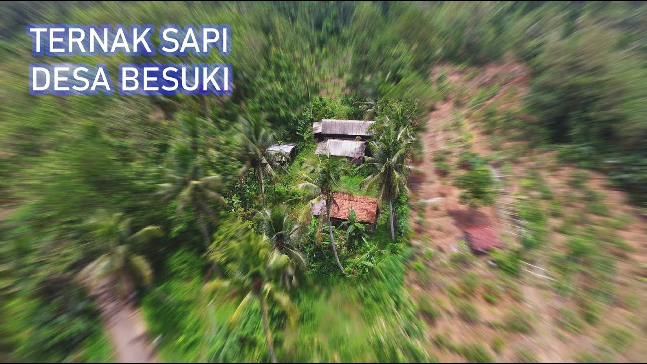 PERENCANAAN TERNAK SAPI DESA BESUKI || KECAMATAN LUMBIR || BANYUMAS ...