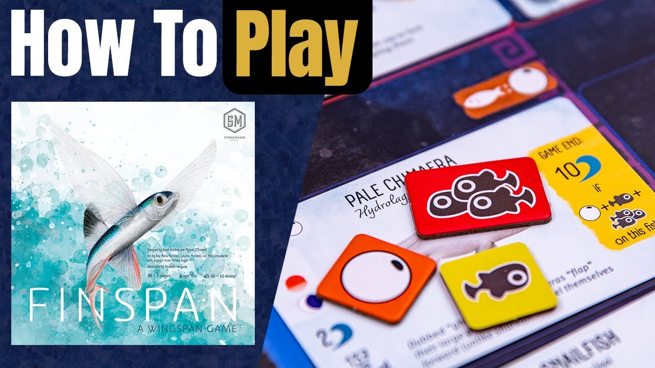 Finspan | How to Play | Learn to Play in 6 Minutes! - YouTube