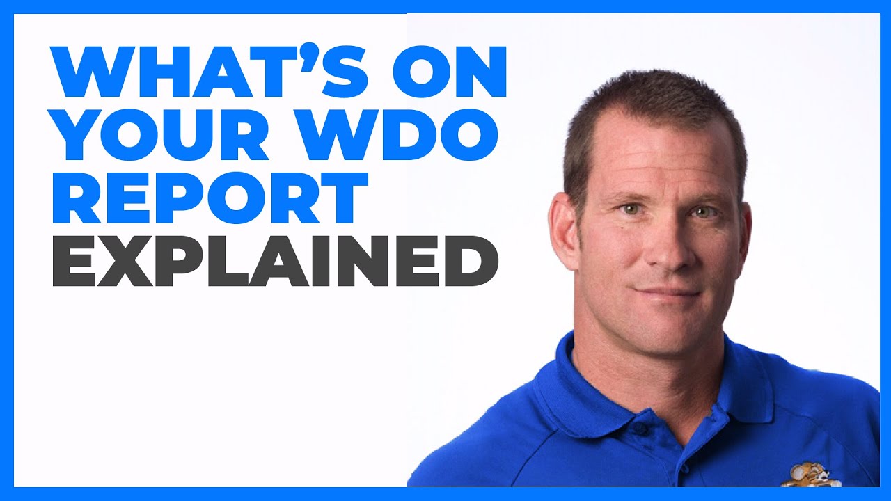 What's on Your WDO Report, Explained - YouTube
