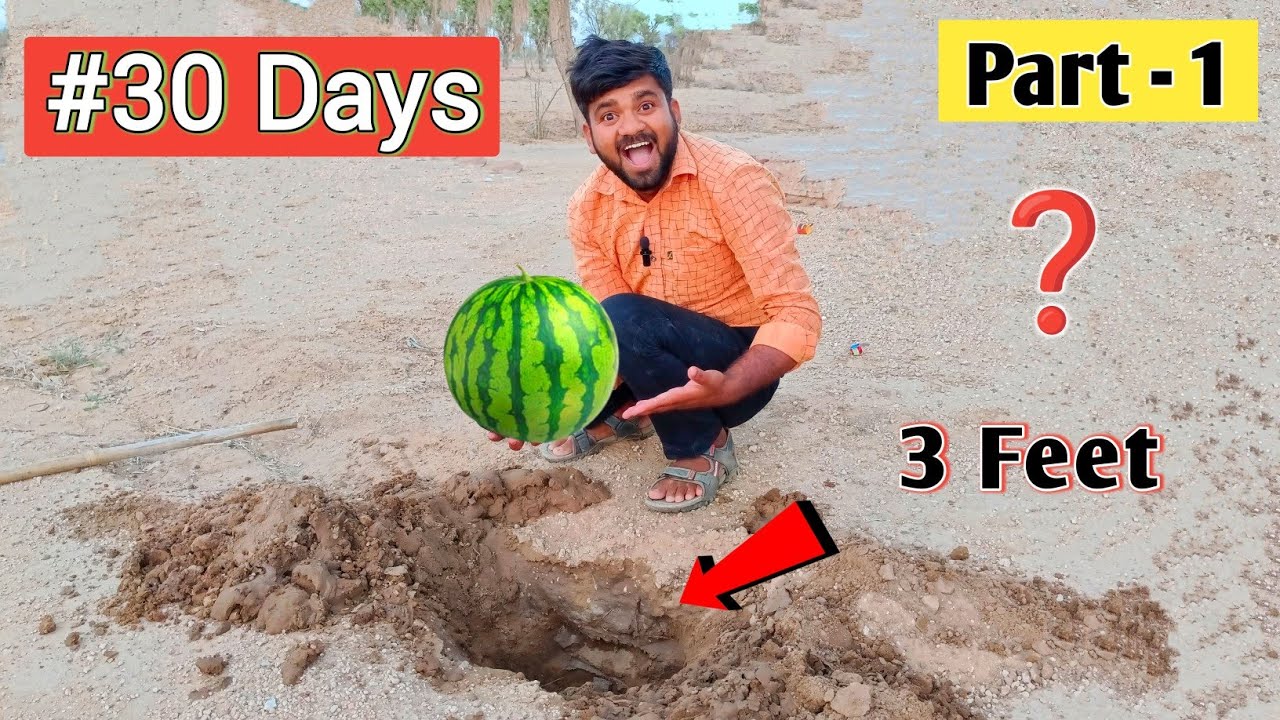 Underground Watermelon । तरबूज को जमीन में दफना दिया । क्या ये 1 महिने ...