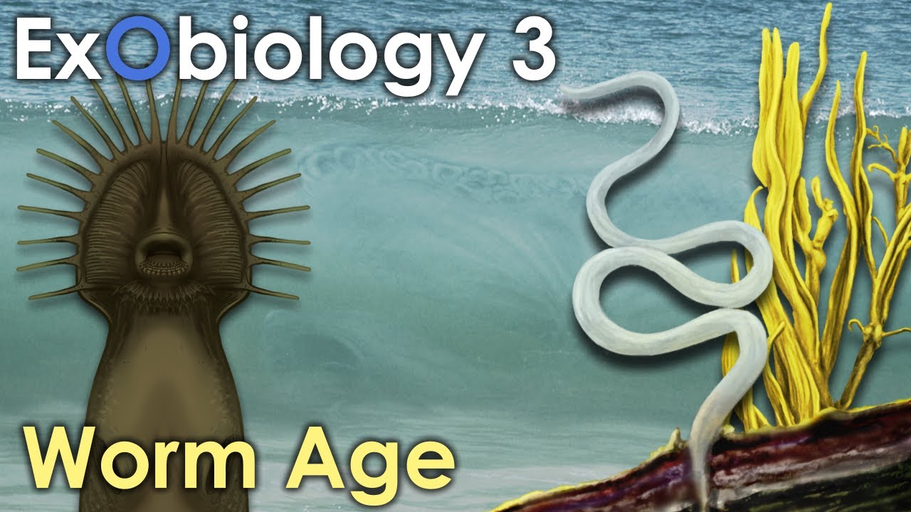 Exobiology: Worm Age [Ep3] - YouTube