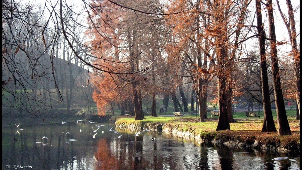 PARCO LAMBRO - Milano, Dicembre 2014 - di R.Mancini - YouTube