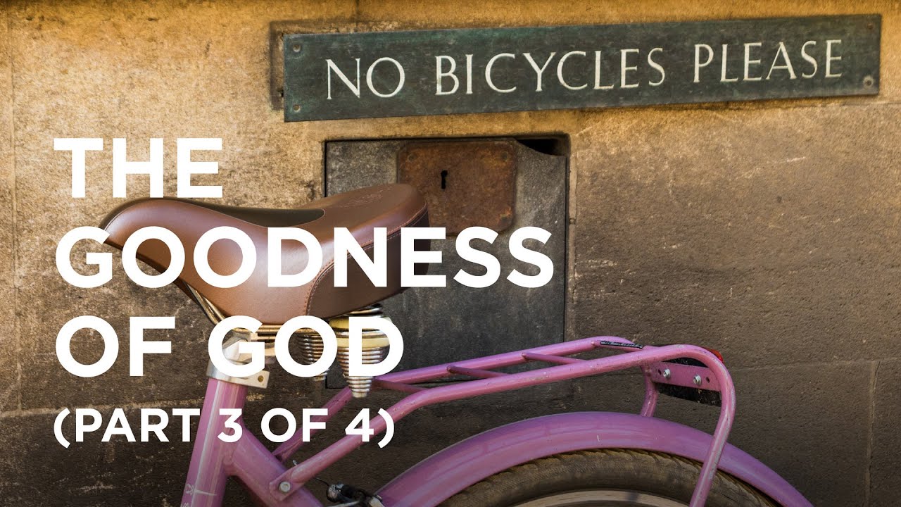 The Goodness of God (Part 3 of 4) — 11/02/2023 - - Bible Portal