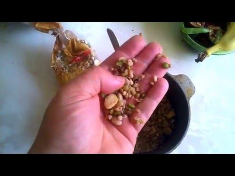 каша для попугая - YouTube