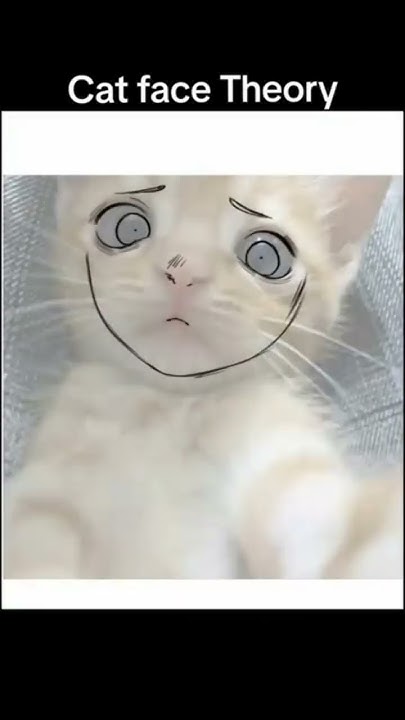 cat face theory 😺 - YouTube