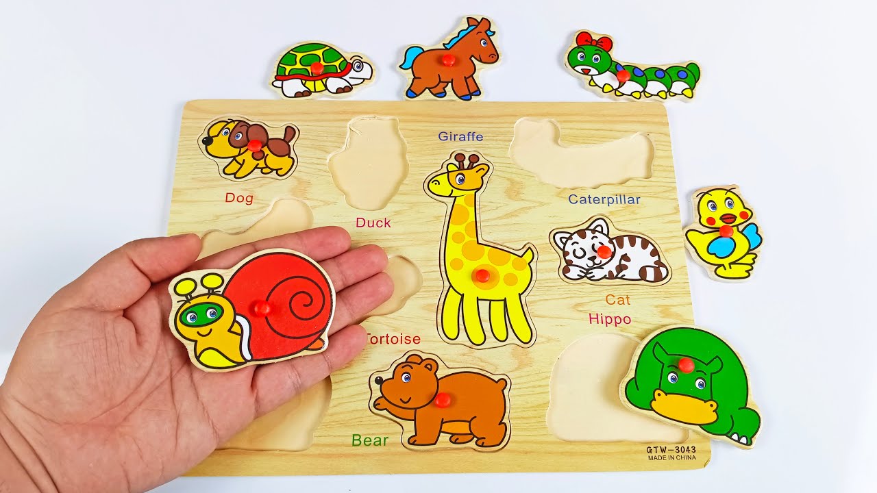 Let's learn Animals names and find the correct place of animals - YouTube