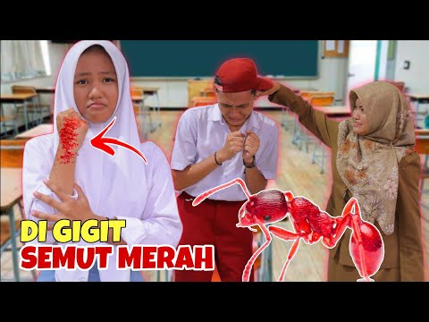 NGERI AYA DIG1G1T SEMUT MERAH BANYAK BANGET | CHIKAKU FAMILY