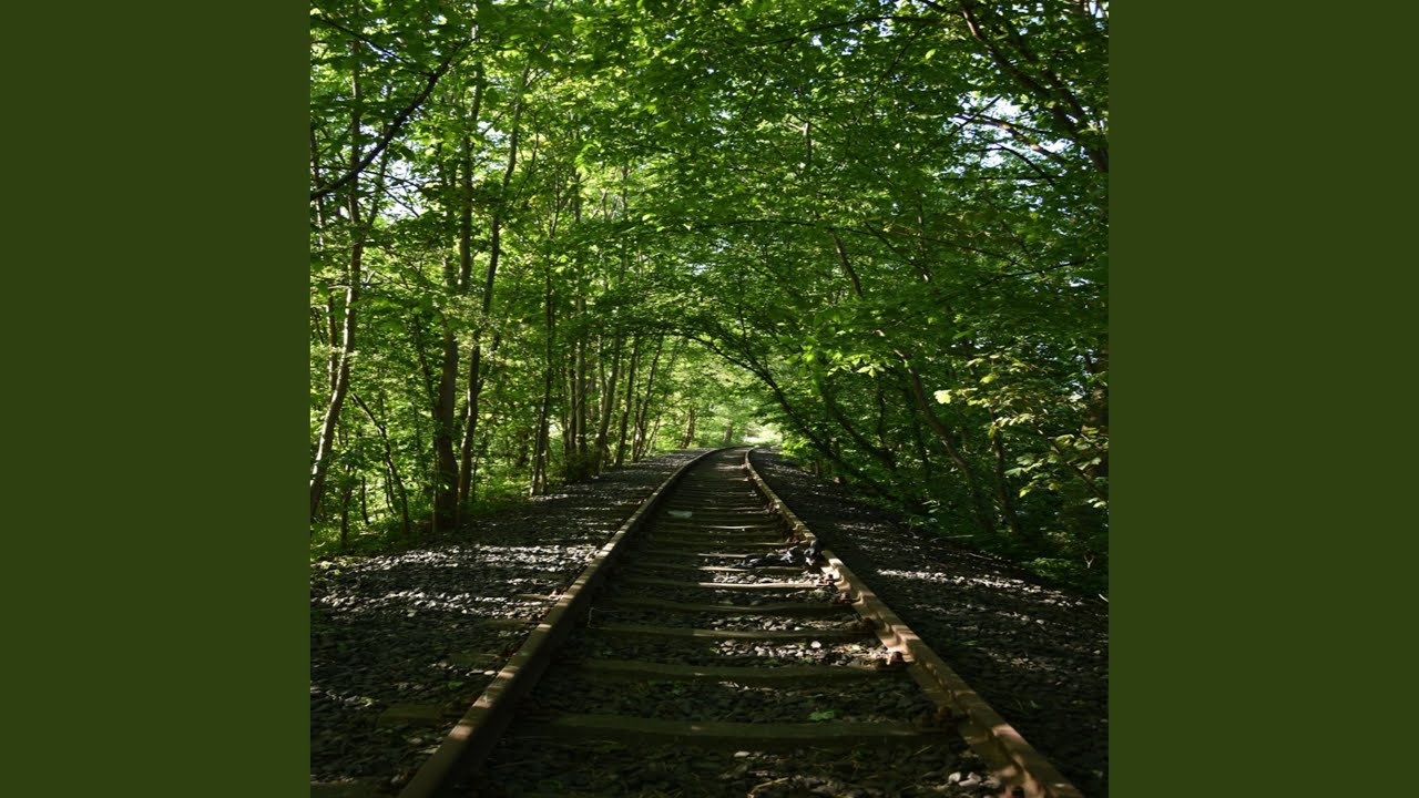 Meek Behavior - YouTube