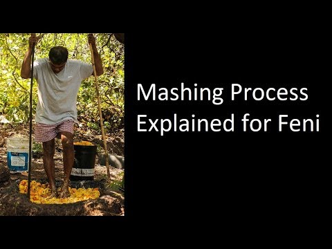 How Mashing is done in Feni - Feni Mashing Process Explained - In ...