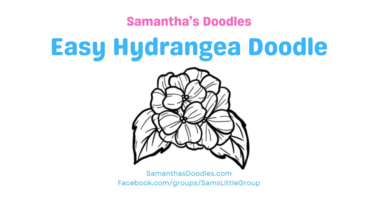 Easy Flower Doodle: Hydrangeas - Samantha’s Doodles tutorials - YouTube