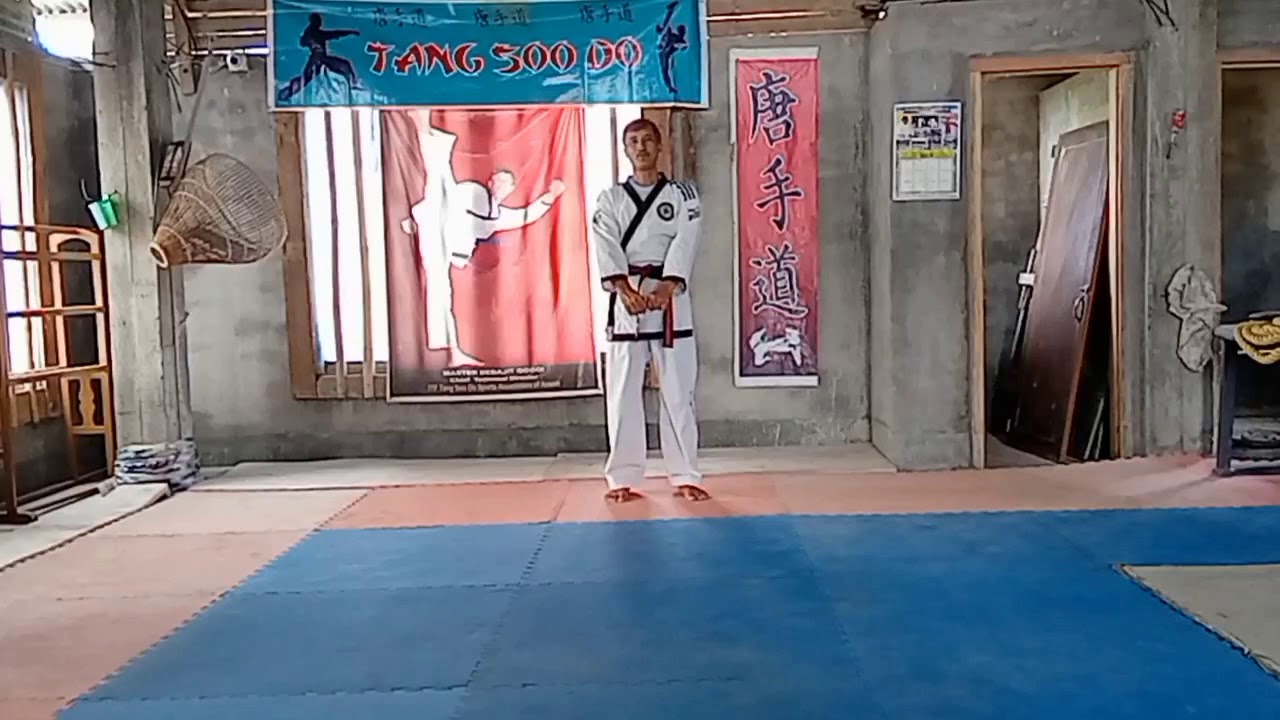 Tang Soo Do Basic Poomse 1 - Kee Cho Hyung IL Bu - YouTube