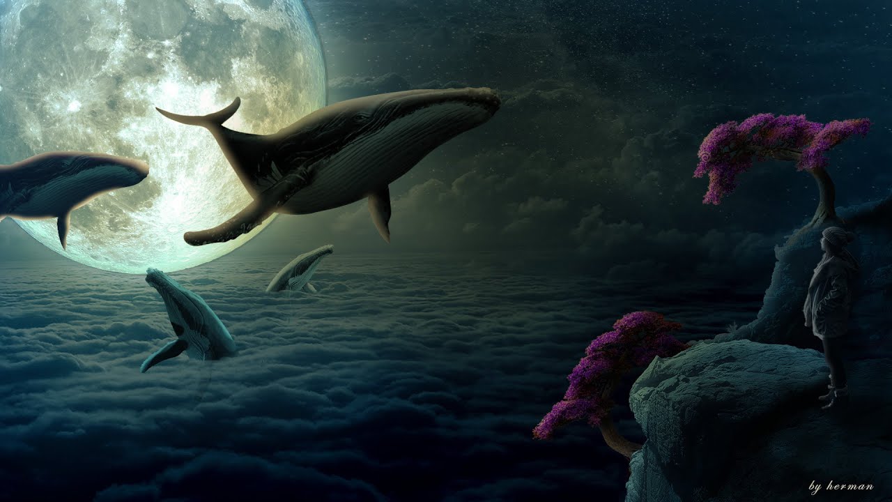 Digital Imaging - Fantasy Whale - YouTube
