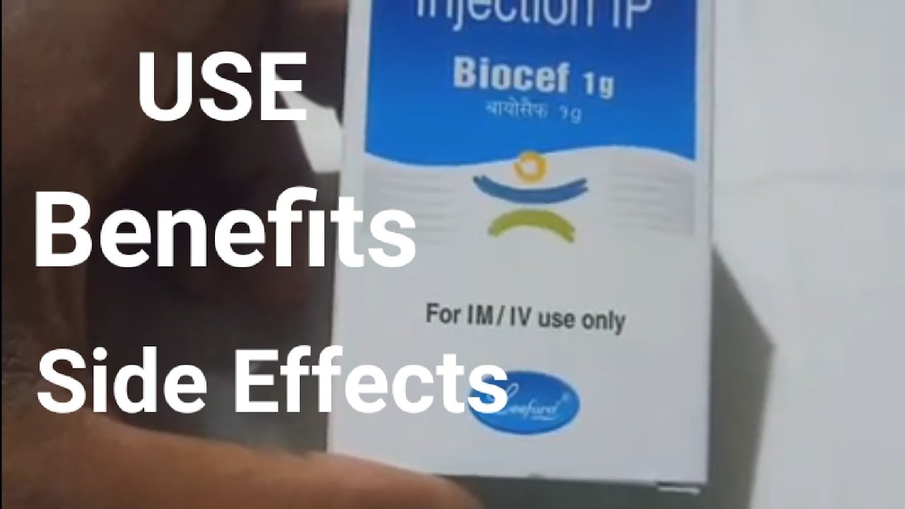 Injection biocef 1 gram use in hindi #biocef1gram#injectionbiocef1gram# ...