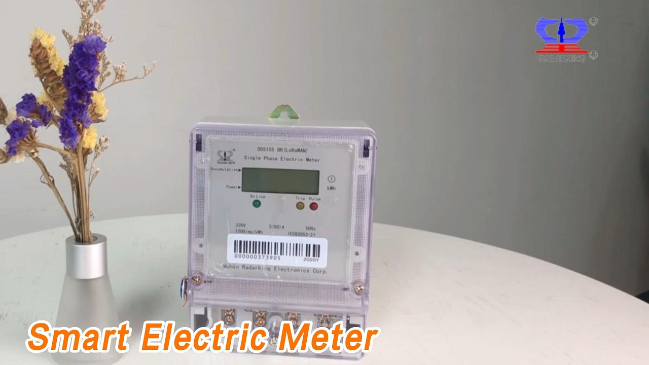 Single Phase Smart Electric Meter 50 / 60Hz NB - IoT Wireless High ...